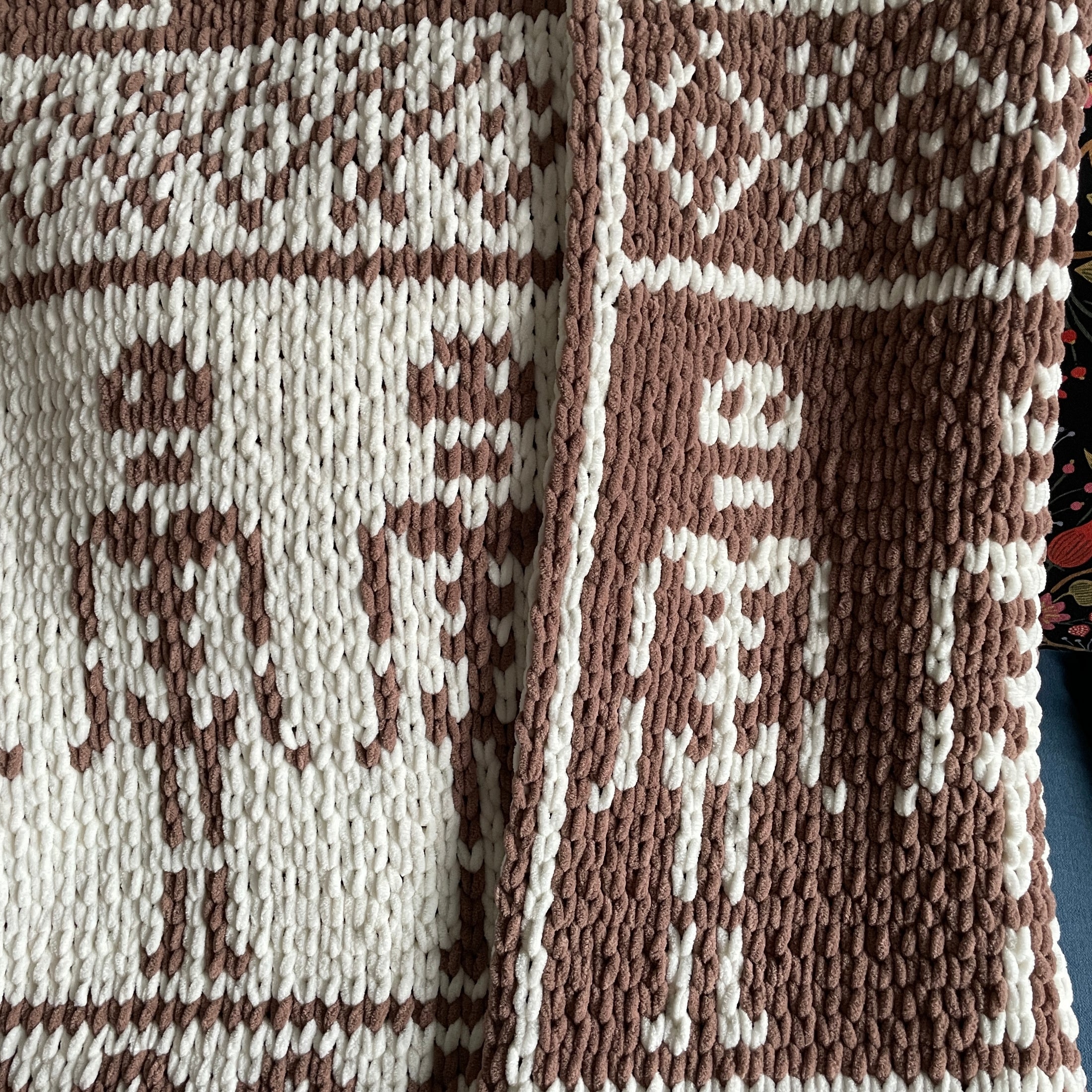 PATTERN: Skeleton Scandinavian Blanket – ILoveMyBlanket